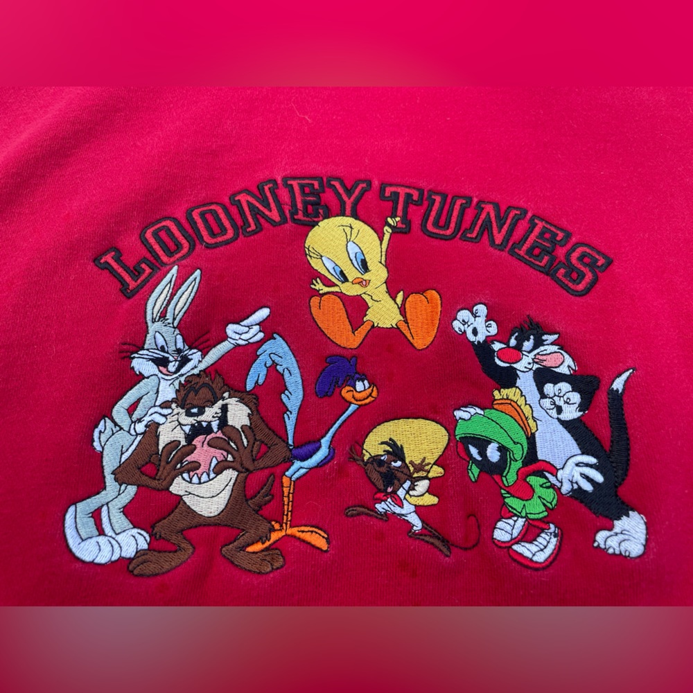 Vintage Rare Looney Tunes Embroidered Warner Bros Hoo… - Gem